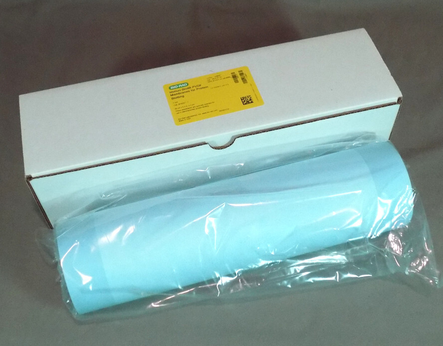 1-Roll Bio Rad Immun-Blot PVDF Blotting Membrane 1620177 26cm x 3.3m | eBay