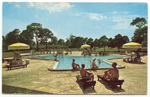 Dunedin FL - Dunedin Beach Campground Pool Postcard Florida | eBay