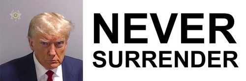 Trump Mug Shot , MAGA Never Surrender Sticker Decal Bumper sticker 2024 ...