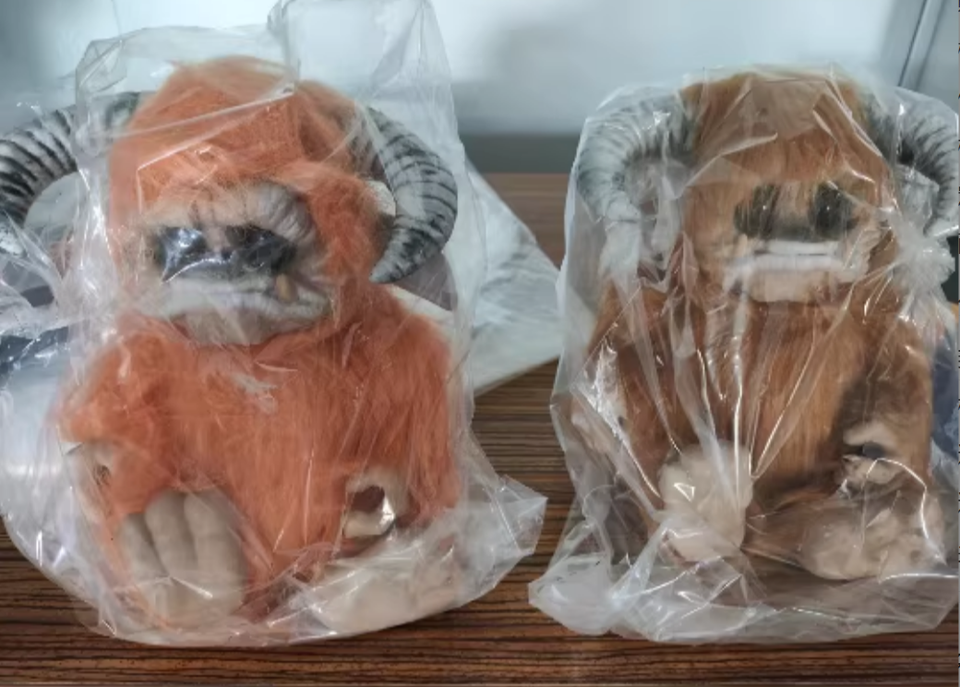 25CM Labyrinth Big Mouth Monster Animal Baby Ludo Plush Action Figure ...