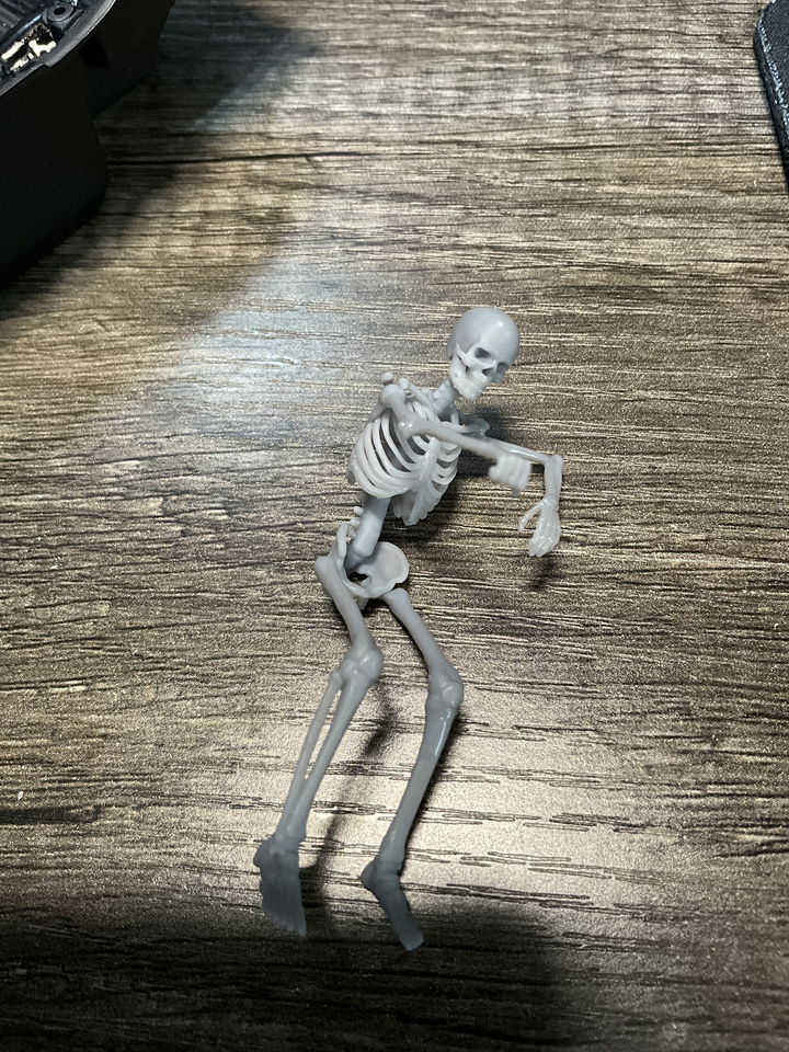 Skeleton Driver 3d printed | eBay