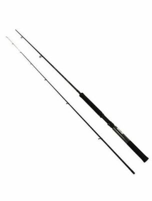 Shakespeare Crappie Hunter 2 Piece Spinning Rod 12 ft Light | eBay
