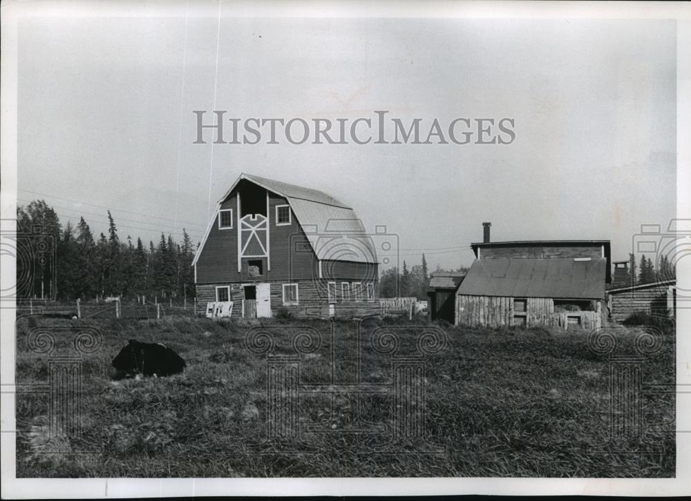 1966 Press Photo Typical of the barns that dot Alaska's Matanuska ...