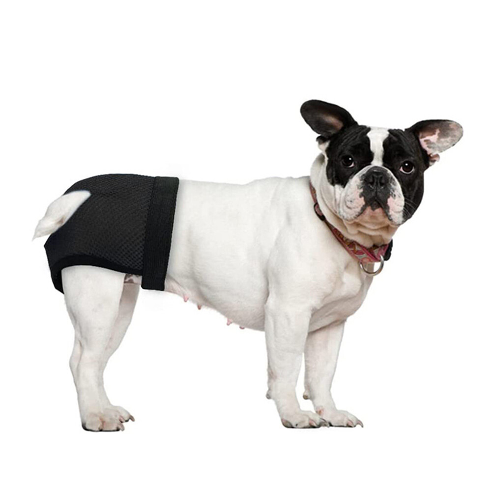 Dog Diaper Physiological Pants Female Dogs Sanitary Panties Shorts ...