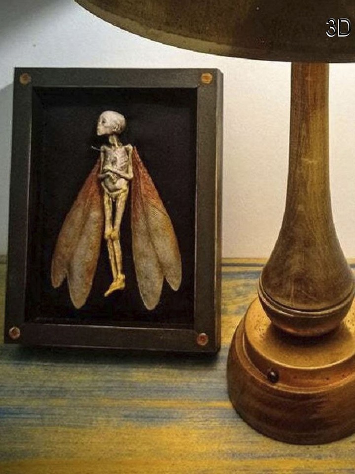 Cursed Items Dead Fairy Shadow Box Display Wooden Ornaments | eBay