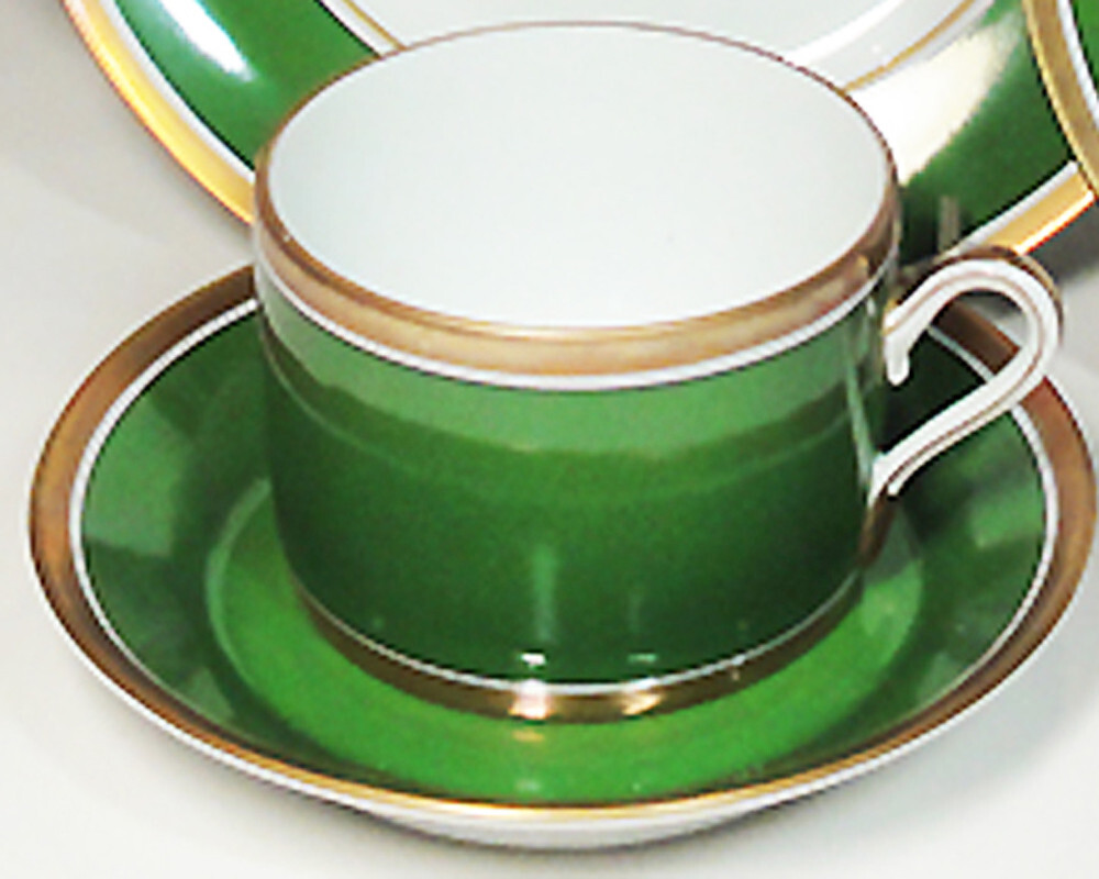 VISCONTE GREEN by Richard Ginori 5 Piece Place Setting NEW NEVER USED ...