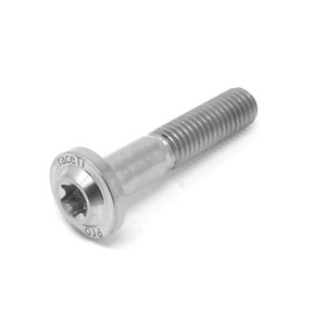 M8 40mm Titanium low profile Torx Ti Washer Bolt Screw gr5 40 x 1.25 ...