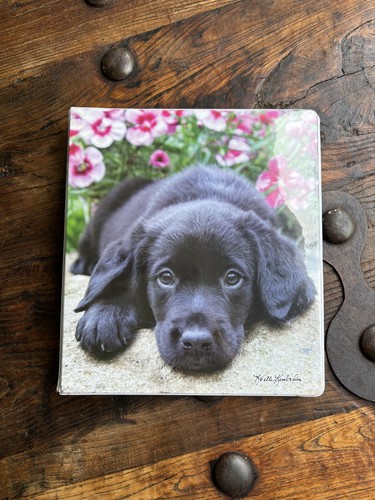 Class Act Keith Kimberlin 1in 3 RIng Binder Black Lab Puppies | eBay