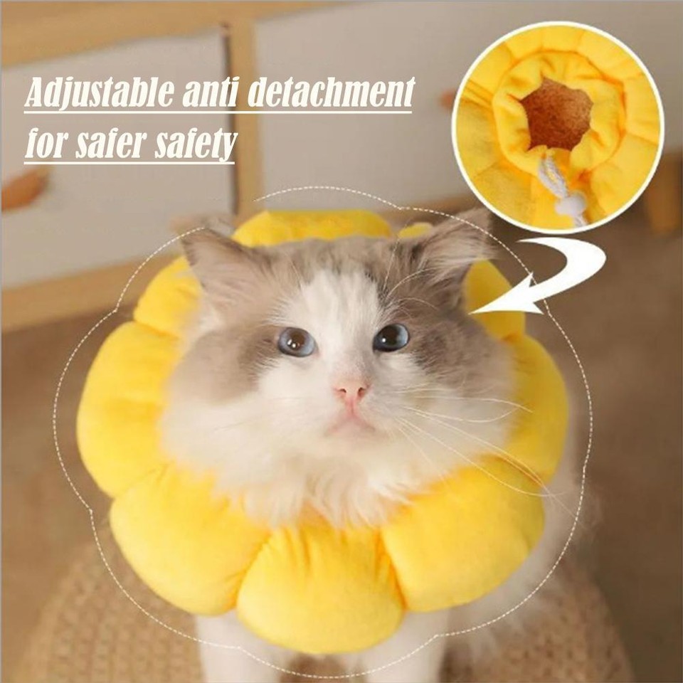 Dog Collar Elizabeth Cat Anti Lick Tusi Bread Soft Head Cover D4W6 N3Q7 ...