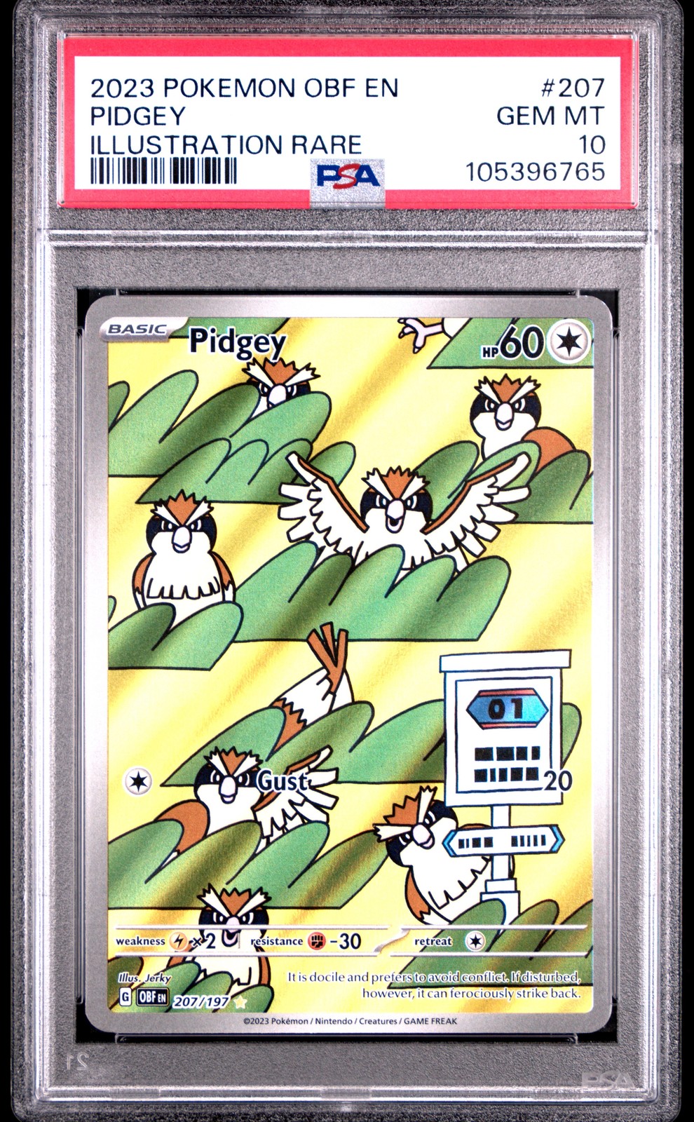 Pidgey 2023 Scarlet & Violet: Obsidian Flames #207/197 Illustration ...
