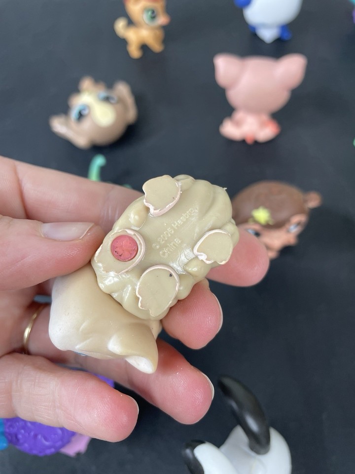 Littlest Pet Shop LPS Lot Of 15 Mixed Years Dog Monkey Bird Iguana Cat ...