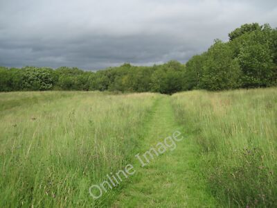 Photo 12x8 Centenary Way into Brow Plantation Potter Brompton c2011 ...
