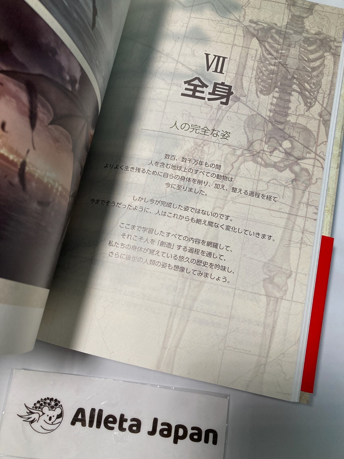 Stonehouse's Anatomy Note Socca Suk Jong Hyun How to Draw Human Body ...