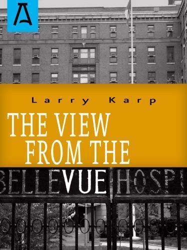 View from the Vue by Larry Karp (2016, Trade Paperback) for sale online ...