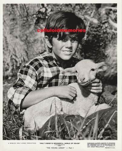 Original NBC Photo 1967 Disney The Young Loner Butch Patrick | eBay