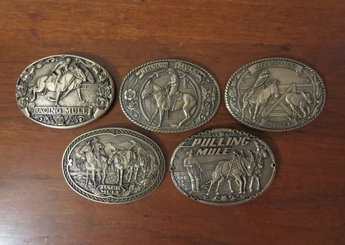 PACK MULE Pulling Mule RACING Reining ROPING MULE ~ Tony Lama Brass ...