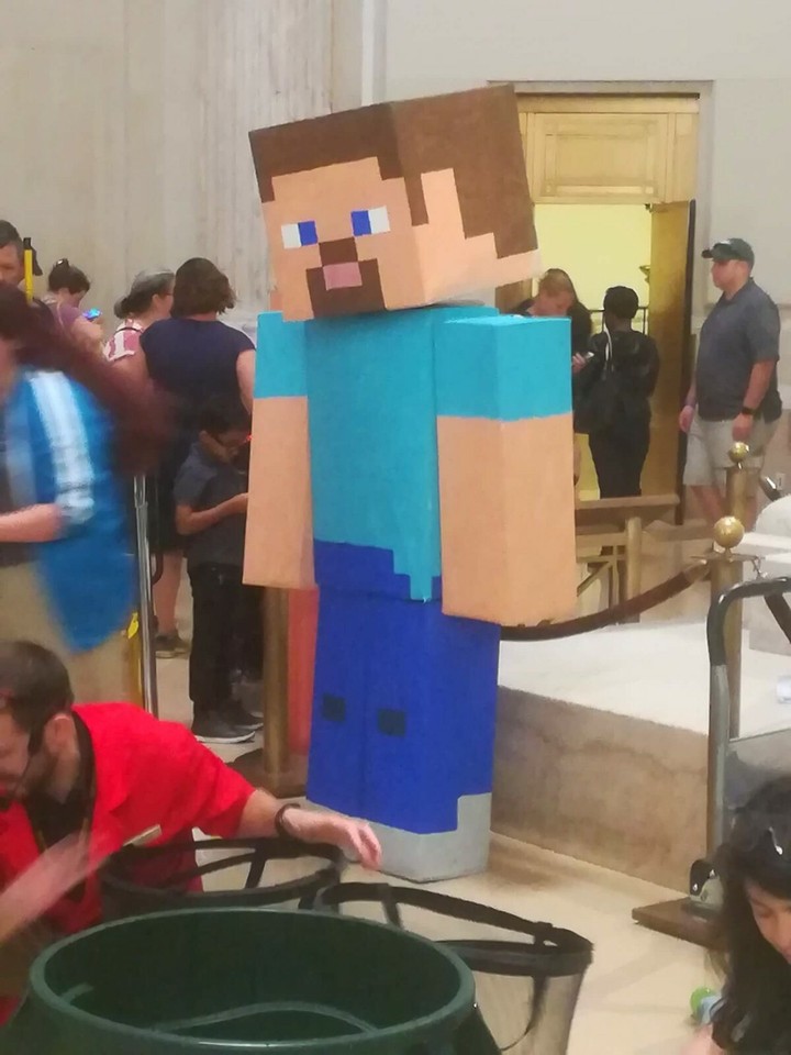 Minecraft Costume Steve Alex Creeper Mario and more! Halloween mascot ...