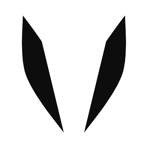 Headlight Eyelid Decals - Pair for 2014-2019 C7 Corvette | eBay