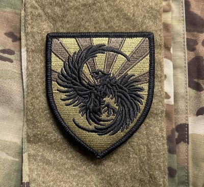 US Army 111th Military Intelligence Brigade Patch OCP w/ Hook ACU ...