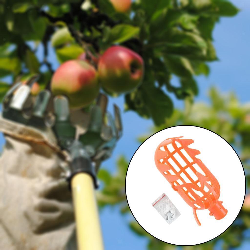 Fruit Picker Tool Equipment Fresh Harvester for Blueberry Mango | eBay