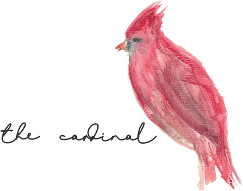 Wesley Joe The Cardinal (CD) Album | eBay