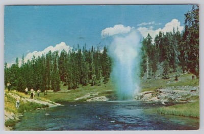 Riverside Geyser Yellowstone National Park Postcard | eBay