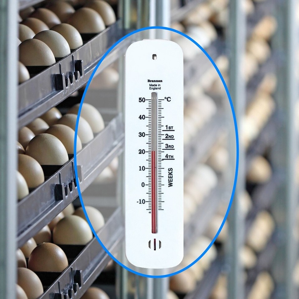 Incubator Thermometer Brooder Fertile Egg Chickens Chicks Hatching ...