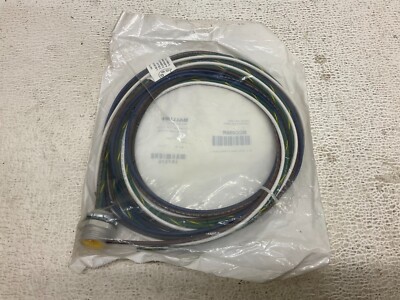 Balluff BCC098R Male Connector BCC A355-0000-20-RN022-020 New (VT) | eBay