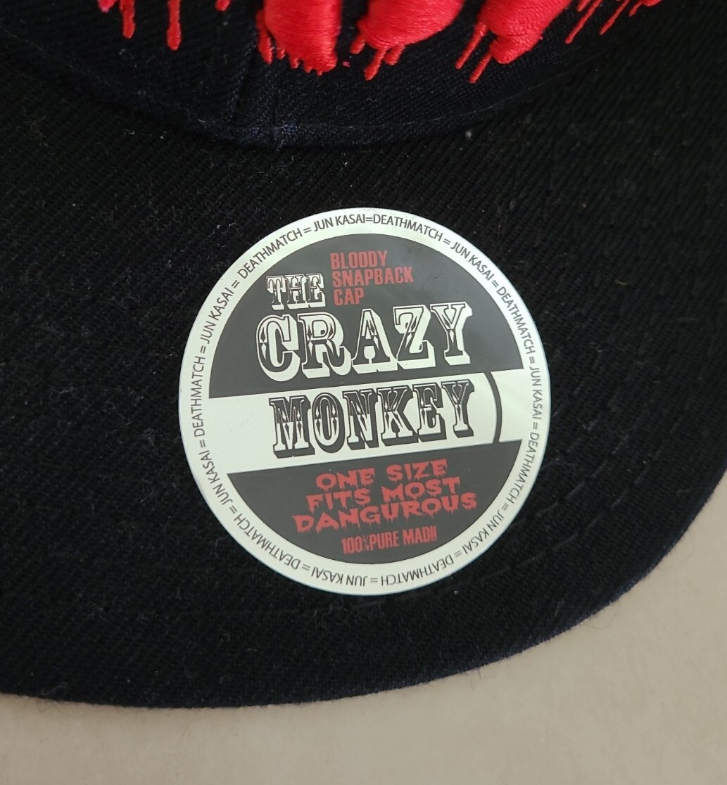 Jun Kasai CRAZY MONKEY SNAPBACK Cap Hat AJPW BJW CZW DDT Wrestle-1 ...