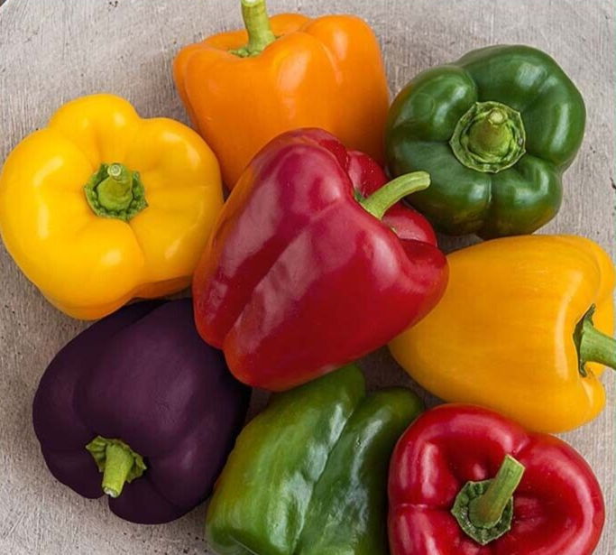 Capsicum 'HEIRLOOM RAINBOW MIX' 8 x 30 Seed Packets Spring Bulk Buy ...