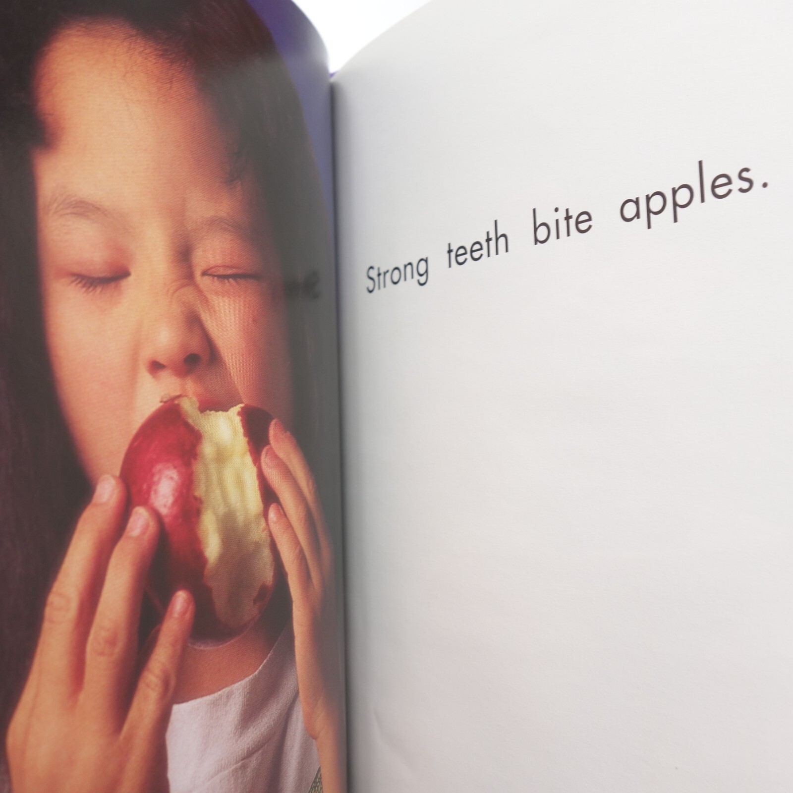 Pebble Book lot of 12 Pre K-2 Early Learning Homeschool Easy Readers ...