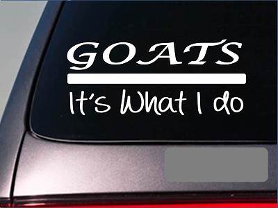 Goats it's what i do *H901* 8 inch Sticker decal boer kiko nubian dairy ...