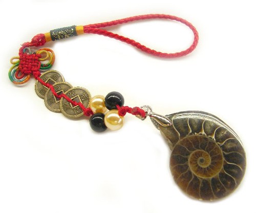 Feng Shui Chinese Snail Ammonite Lucky Charm | eBay
