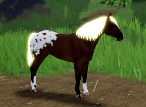 Wild Horse Islands IUH Moonstone Appaloosa | eBay