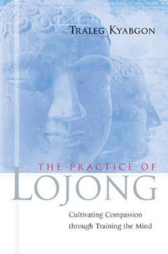 Traleg Kyabgon The Practice of Lojong (Poche) 9781590303788 | eBay