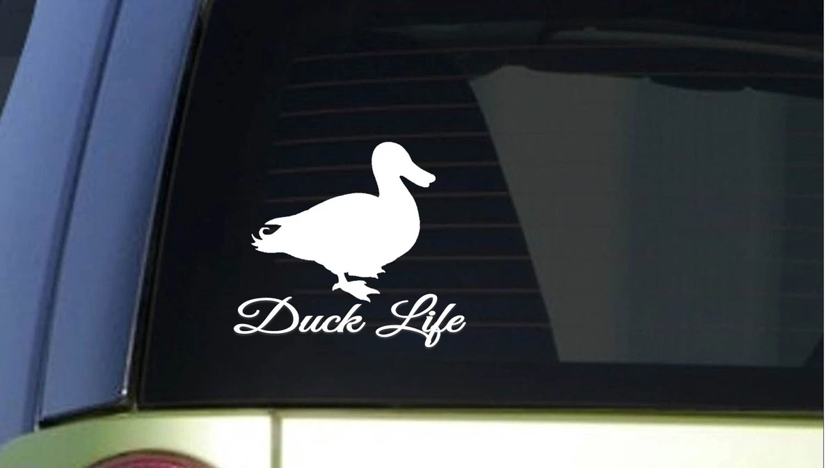 Duck Life Decal