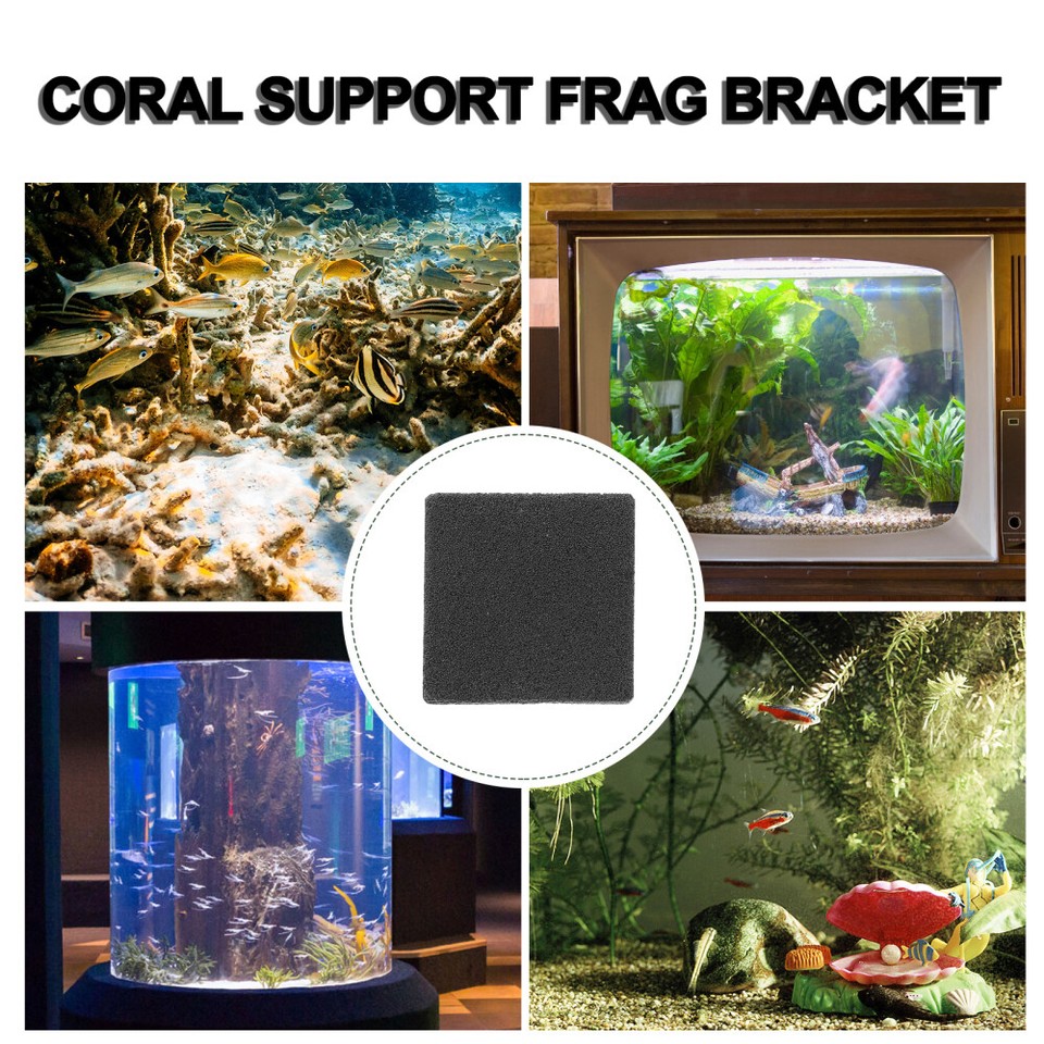 10 Pcs Coral Frag Plugs Decor Tray Suitable for All Corals Mount | eBay