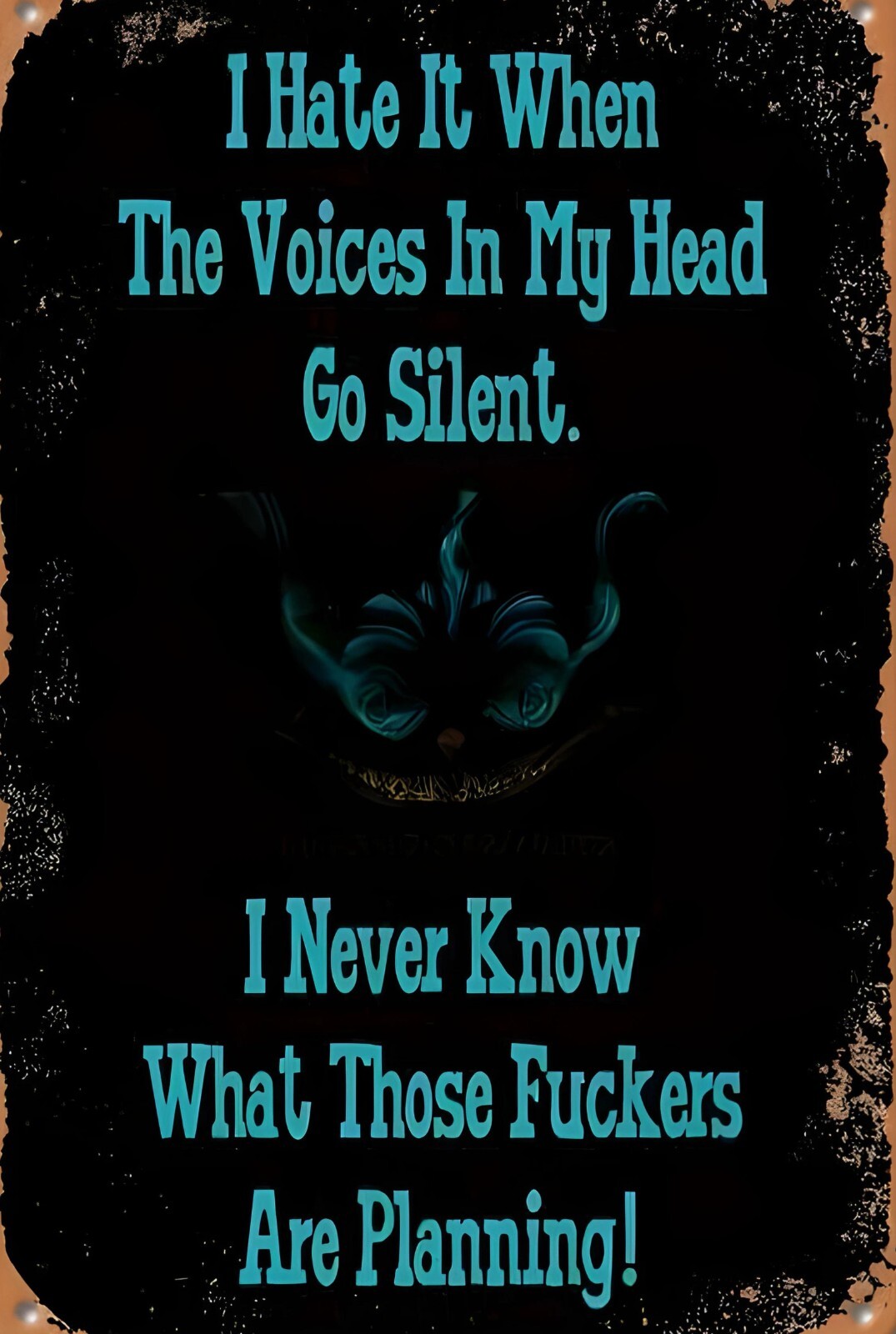 When Voices In My Head Go Silent Funny Sign Weatherproof Aluminum | eBay