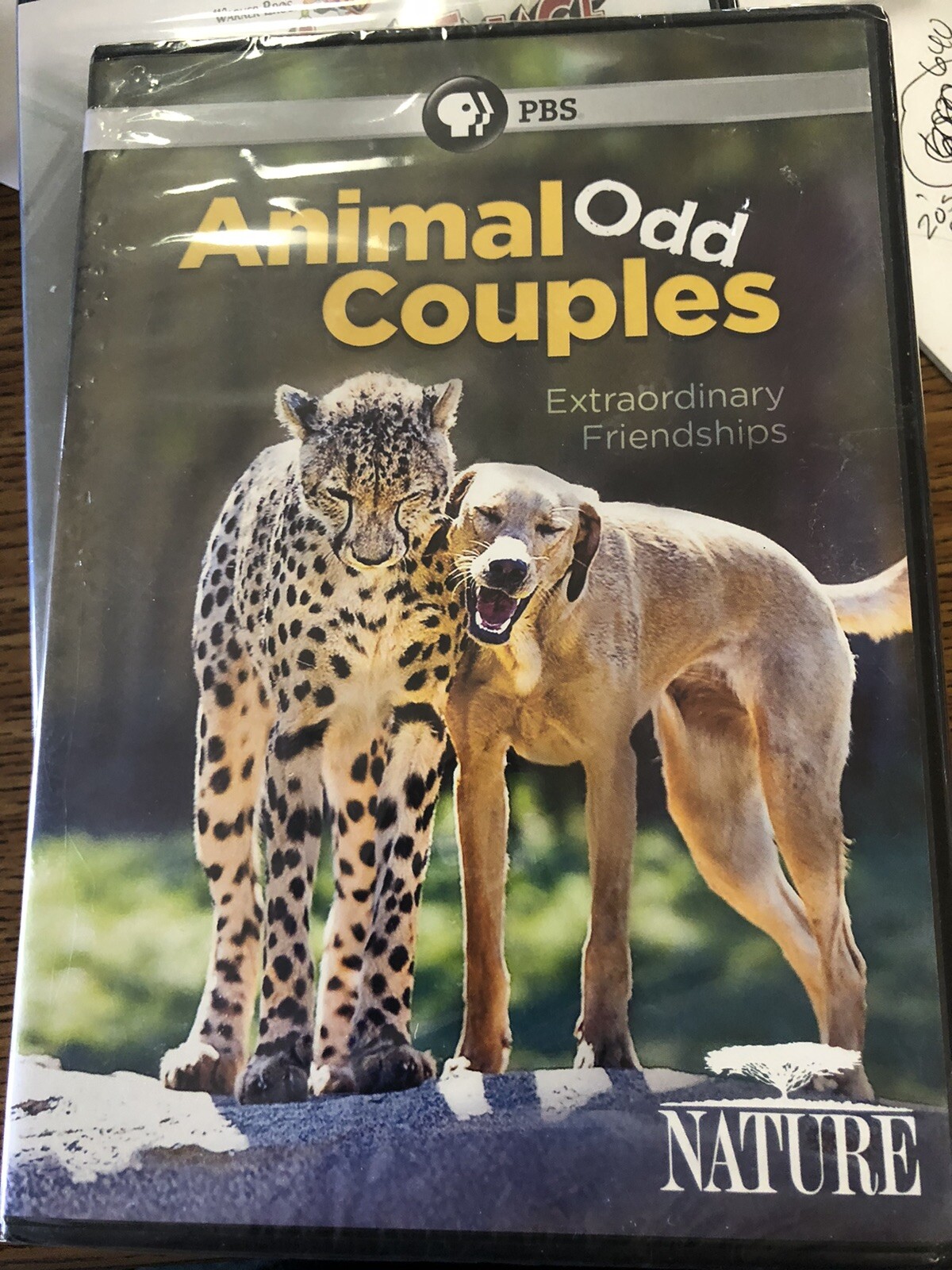 Nature: Animal Odd Couples (DVD) - NEW 841887018180| eBay