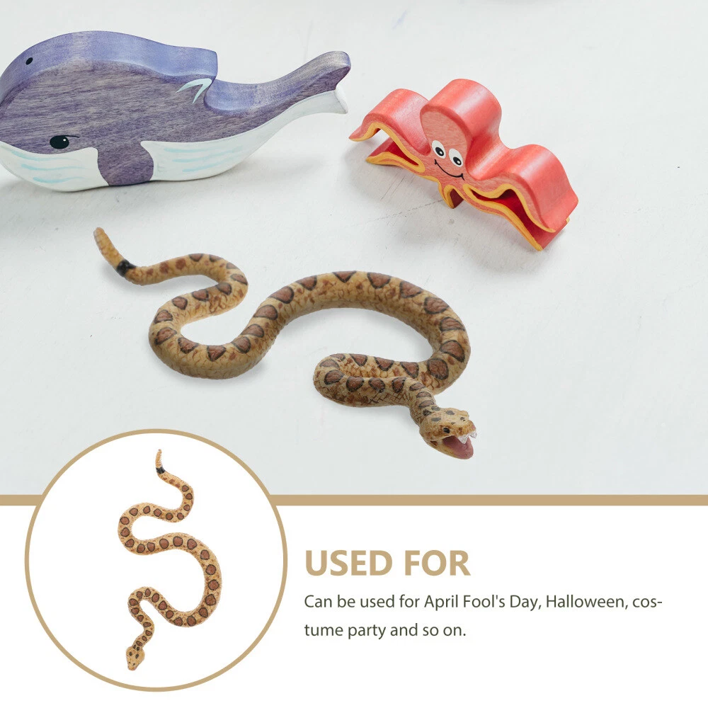 Life Cycle Of A Copperhead Snake