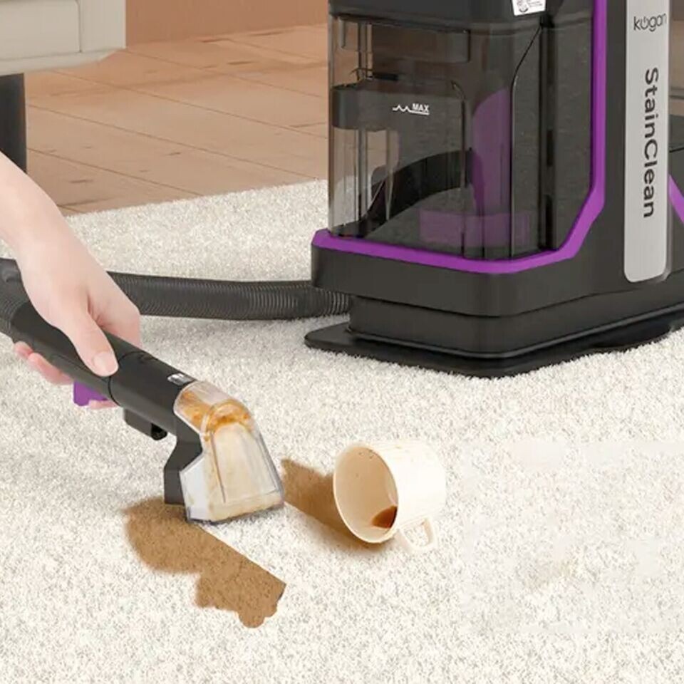 StainClean Professional SpotClean Carpet & Upholstery Cleaner 2-Size ...