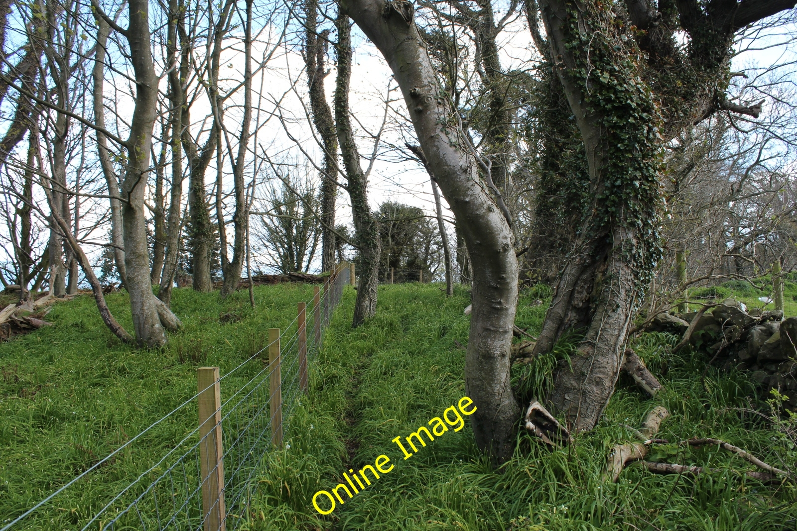 Photo 12x8 Mull of Galloway Trail Ardwell/NX1045 On the way to Drummore ...