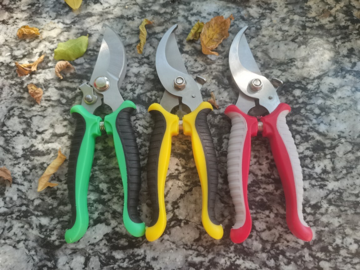 Plant Flower Scissor Pruning Shears Trim Tree Snips Branch Garden ...