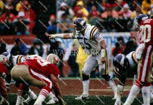 EV620 Scott Studwell Minnesota Vikings Football 8x10 11x14 16x20 Photo ...