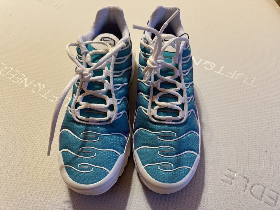 Nike Air Max Plus DM0032-102 Dusty Cactus Persian Violet Mens Size 10.5 ...