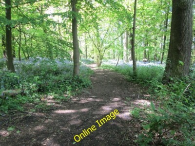 Photo 6x4 Footpath - Bramley Fall Park Horsforth 2 c2013 | eBay UK