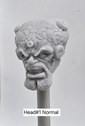 3d Printed BIG HEAD VILLIAN ANGSTROM HEAD #1 1:10 7" SELECT DC ...