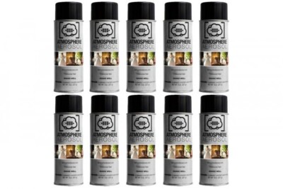 Atmosphere Aerosol 10 Pack 8oz Haze - Fog Spray for Photographers and ...