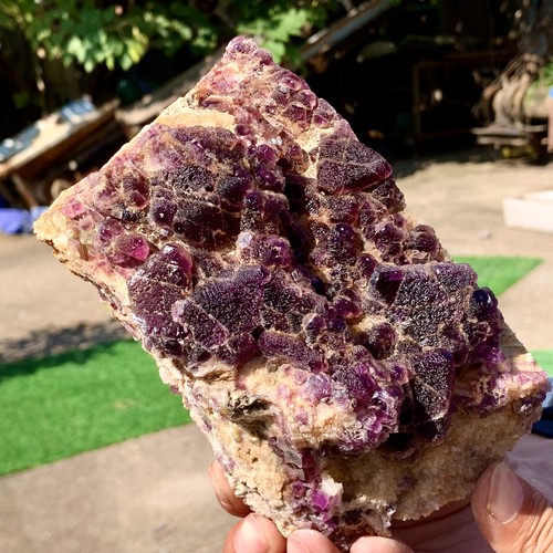 2.74LB Rare transparent coffee+Purple cubic fluorite mineral crystal ...