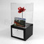 Tower Of London Poppy Display Case Model M | eBay